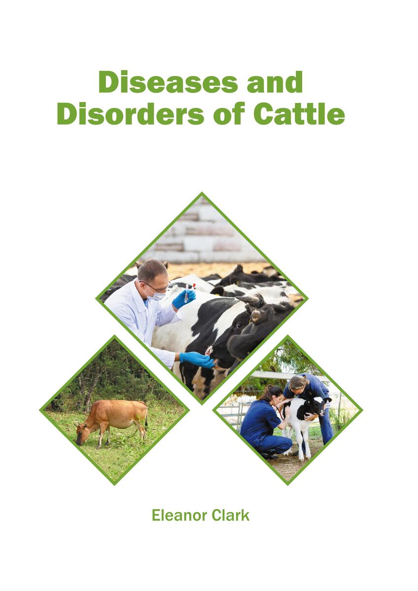 9781647400750 Diseases & Disorders Of Cattle - Retail Services ...